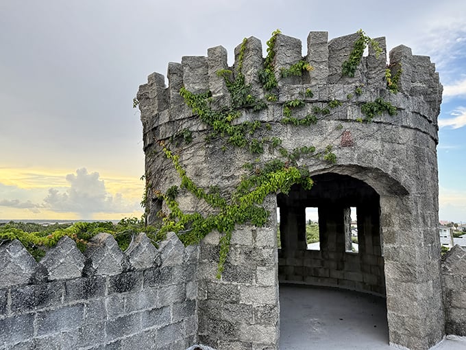 Nature's tendrils embrace this stone turret, as if the Florida landscape is slowly reclaiming this piece of medieval Europe.