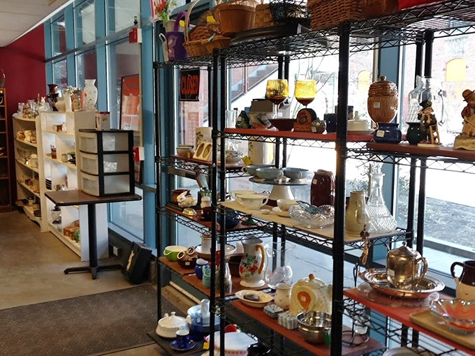 Organization is key at Experienced Goods. Marie Kondo would approve of these meticulously arranged shelves that spark joy without emptying wallets.