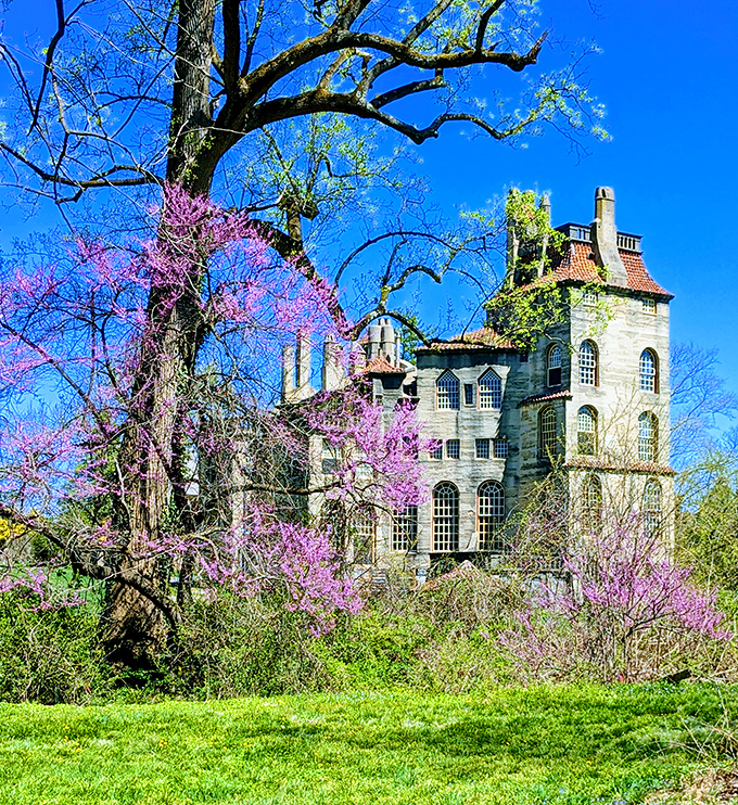 Spring's purple redbud trees create nature's perfect frame for this concrete behemoth, like Mother Nature herself decided to accessorize.