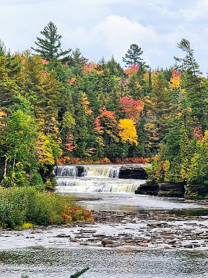 Mother Nature's tiered wedding cake. The Lower Falls steps down through ancient rock while fall foliage creates a celebration-worthy backdrop.