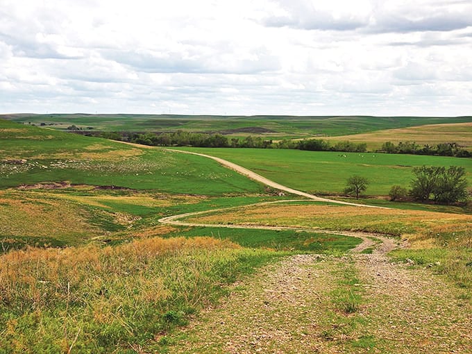 Nature's quilt spread before you—patches of green, gold, and earth tones stitched together by invisible hands.