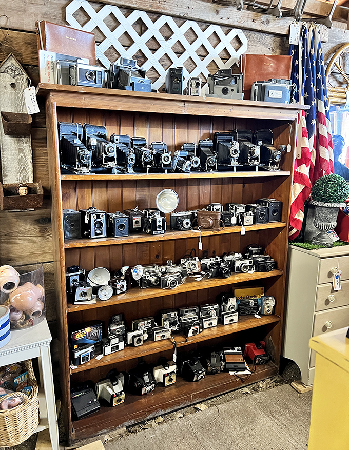 Camera heaven for analog enthusiasts! Each of these vintage beauties once captured someone's precious memories before selfies were even a concept.