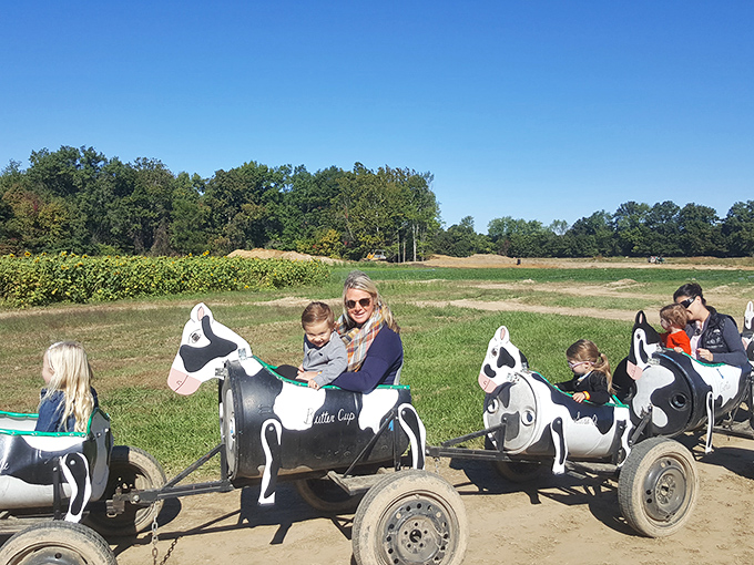 The cow train brings pure joy to little ones, bouncing along at just the right speed for giggles.