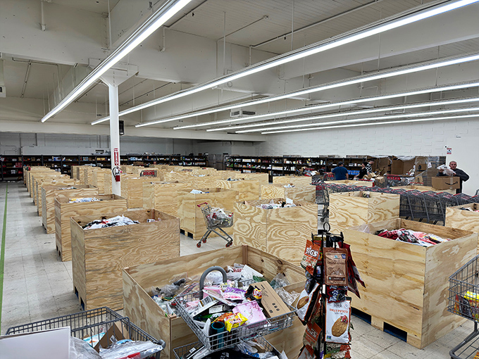 These wooden bins aren't just storage &ndash; they're archaeological digs where modern retail treasures await discovery by patient explorers.