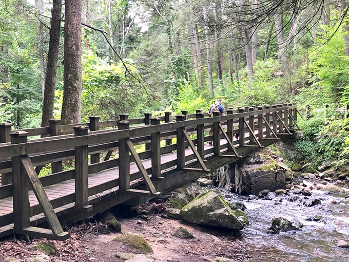 These wooden bridges feel straight out of a fairy tale, only with better engineering and actual safety rails.