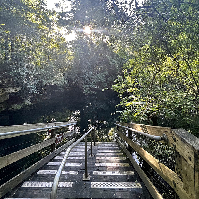 Stairway to heaven? No, just the entrance to one of Florida's most magnificent underwater cave systems. The sunlight playing through the trees adds magical ambiance.