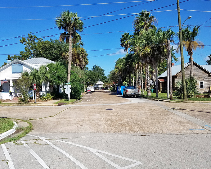 Apalachicola's quiet residential streets lined with palm trees show you the peaceful side of this historic oyster town.