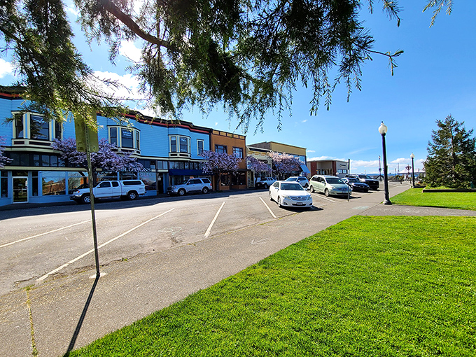 Arcata's hillside neighborhoods cascade toward a peaceful bay. College town energy meets retiree-friendly prices!