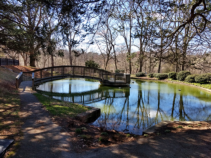 Auburn Valley's pristine waters reflect clouds and trees in a natural mirror that would make any selfie-taker jealous. Nature's Instagram filter at work!