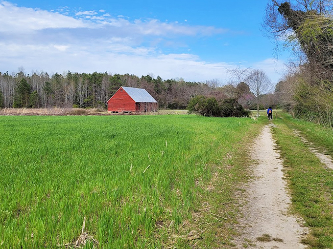 Belle Isle's red barn stands like a painting against emerald fields &ndash; a scene Norman Rockwell would have rushed to capture.