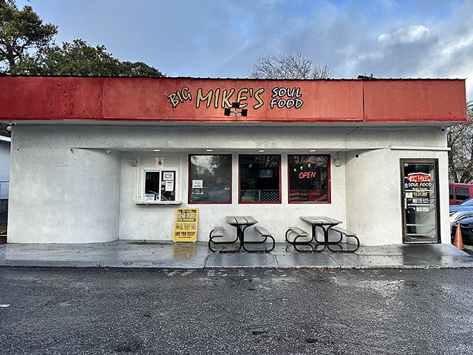 Don't judge this red and white book by its cover - soul food magic awaits.