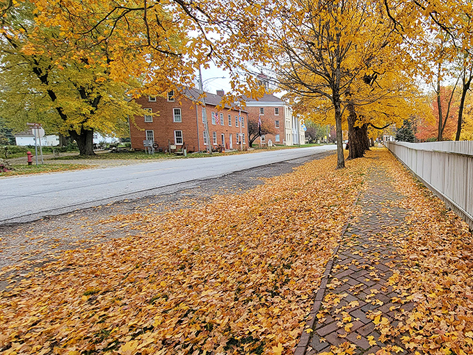 Bishop Hill in autumn is Mother Nature's gold medal performance. Those brick buildings look even more handsome when the trees dress up in their fall finest.