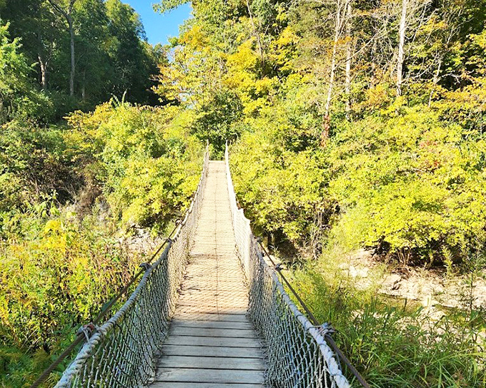 This suspension bridge at Caesar Creek practically begs for a Indiana Jones moment. Adventure awaits on the other side!