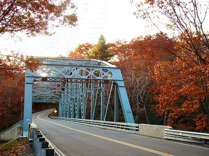 Canterbury's blue bridge dressed in autumn finery – nature showing off like it's auditioning for a calendar photo shoot.