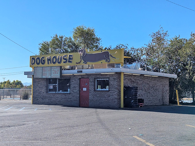 That iconic dachshund sign has been guiding hungry folks to hot dog heaven for generations. A true Albuquerque landmark!