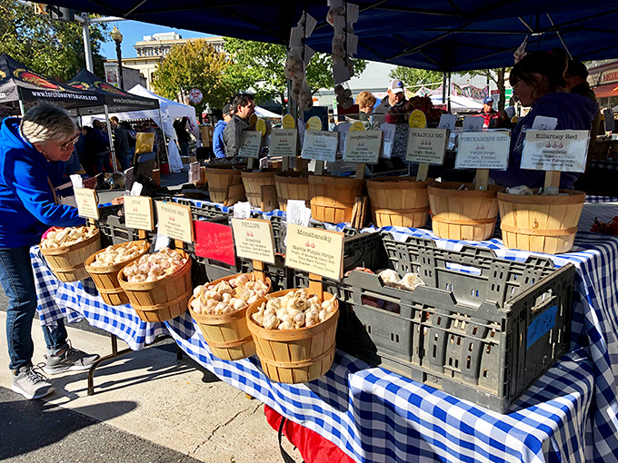 Saturday mornings in Easton's square feel like stepping into a Norman Rockwell painting, complete with perfect produce.