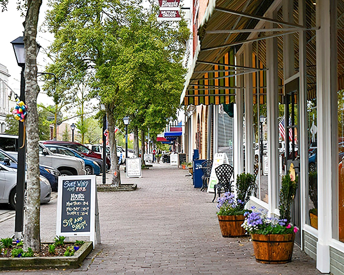 Edenton's historic buildings stand proudly against the Carolina blue sky, whispering stories from centuries past.