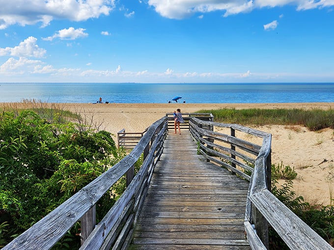 Nature's boardwalk to bliss! This wooden pathway leads to beach treasures without the tourist traffic.