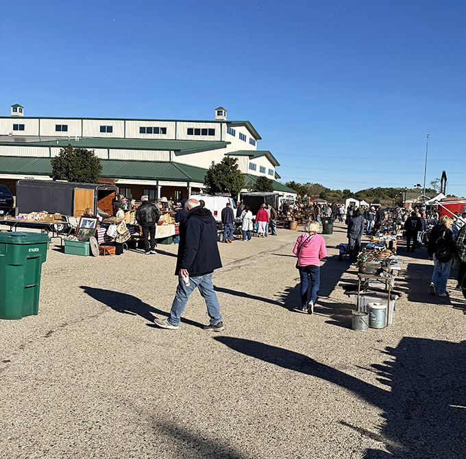 The fairground transforms into a bargain hunter's paradise. Serious collectors and casual browsers unite under Grayslake's big sky.