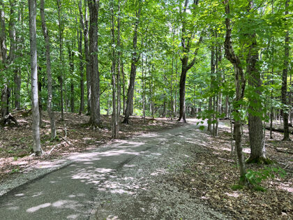 11 Gorgeous State Parks In Michigan That Are Absolutely Worth A Trip