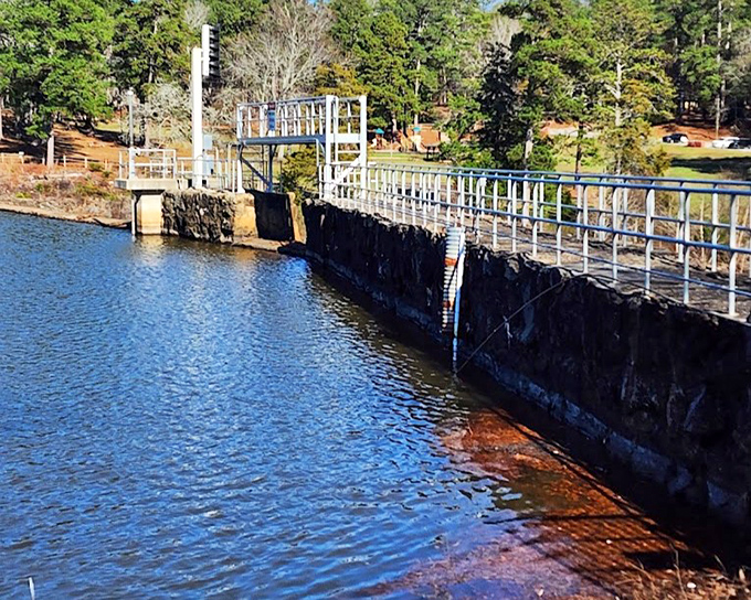High Falls' cascading waters create nature's symphony. The powerful Towaliga River has carved this spectacular staircase over centuries.