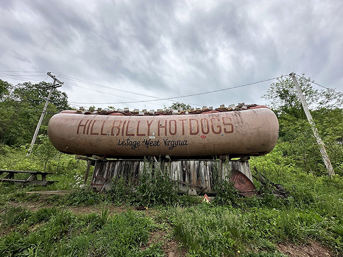 Is that a giant hot dog in the wild? Hillbilly Hot Dogs announces itself with unmistakable roadside flair.