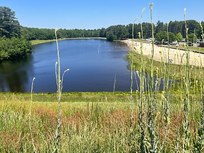 Beach day without the traffic to Cape Cod! Hopkinton's sandy shores offer a vacation vibe just minutes from home.