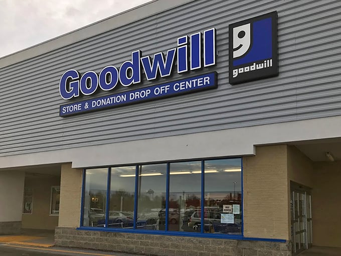 Clean lines and organized aisles make treasure hunting feel like a civilized shopping expedition.