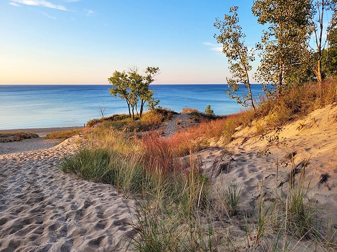Indiana Dunes' sandy shores meet Lake Michigan's vastness. Who needs the ocean when paradise is just a drive away?