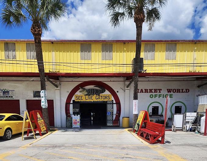 "See Live Gators" might be the most Florida sign ever. International Market World delivers on its promise of authentic Sunshine State shopping experiences.
