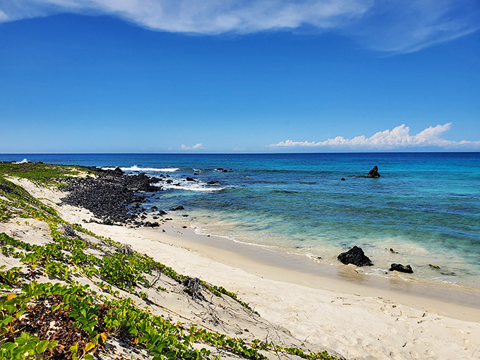 Makalawena's pristine shores look like Mother Nature's screensaver come to life. The kind of beach that makes you question all your life choices that didn't involve moving to Hawaii.