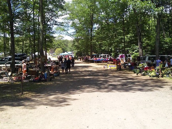 Nature provides the perfect backdrop for bargain hunting. This woodland flea market feels like stumbling upon a secret shopping society.