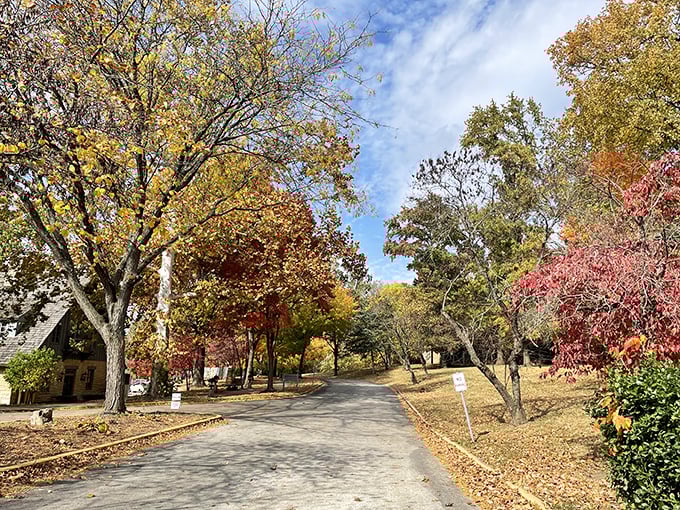 Autumn paints Pere Marquette State Park in golds and reds, turning a quiet drive into a moving work of art.