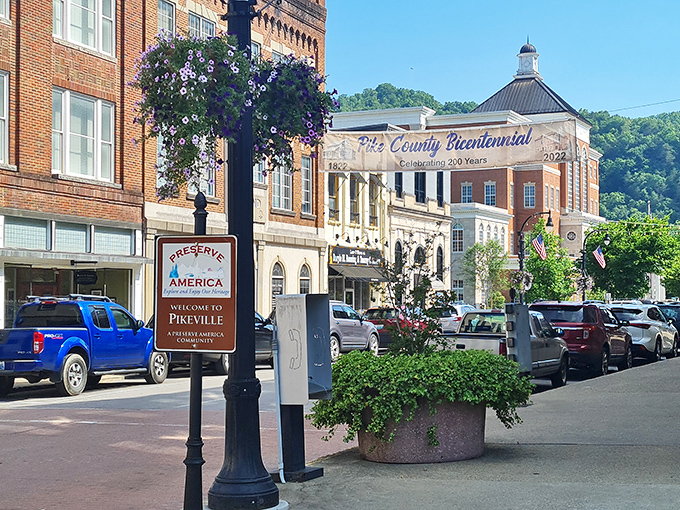 Pikeville's historic district celebrates 200 years with flowers that cost pennies to plant but millions in charm.