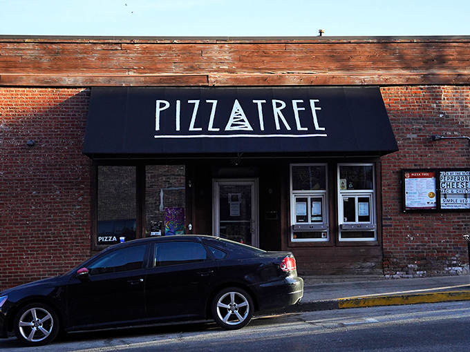 Pizza Tree's rustic brick storefront in Columbia keeps it simple. Like a good book, it's what's inside that counts!