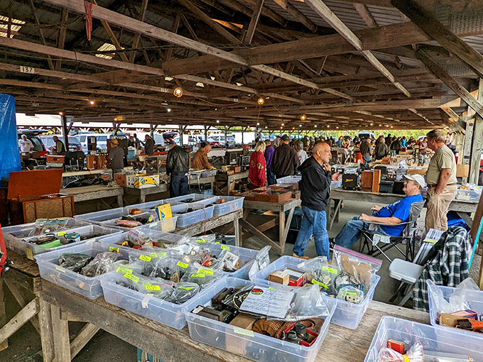 Under rustic wooden beams, treasure hunters scan plastic bins filled with potential finds &ndash; like archaeologists at a dig with better lighting.
