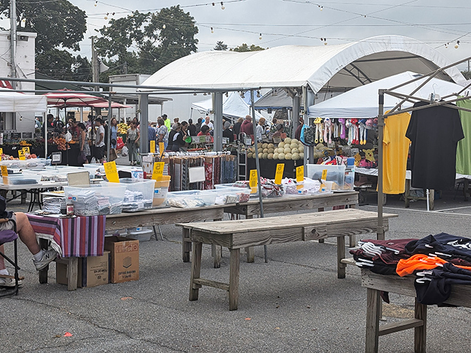 Treasure hunting paradise! Rows of tables under white tents at Root's Old Mill Flea Market create a maze of possibilities for eager bargain seekers.