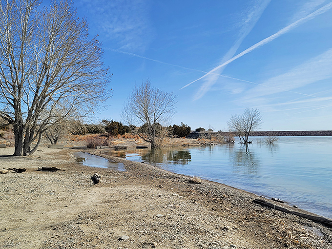 Where desert meets water in the most delightful way. This little shoreline oasis proves Colorado has beach game!