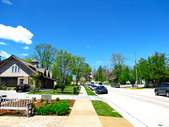 Sewanee's sidewalks curve like a lazy river, inviting you to stroll rather than sprint through life. 