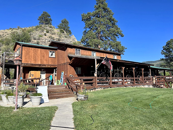 Antlers above the door? Check. Mouth-watering steaks inside? Double check. This is Montana's carnivore paradise.