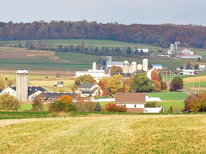 Strasburg's tree-lined main street offers a perfect blend of yesterday's architecture with today's small businesses.
