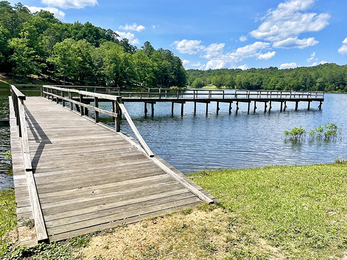 Tishomingo State Park: That wooden pier stretches toward adventure like a runway for the soul. Somewhere, a fish is waiting for your story.