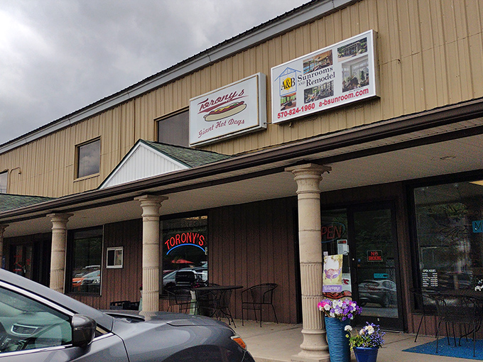 Torony's neon sign glows like a beacon for hot dog lovers, promising giant-sized satisfaction in a cozy setting.