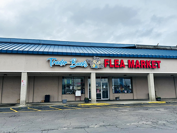 Trader Buck's blue-topped kingdom stands ready for treasure hunters seven days a week&mdash;no X marks this spot, just the sign.