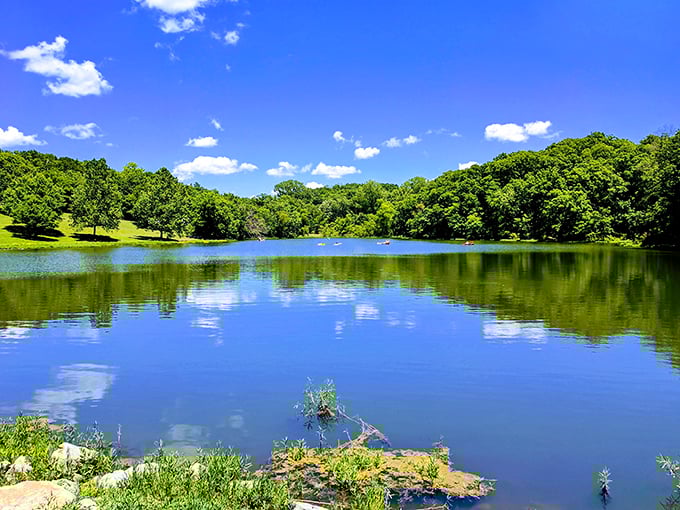 Wallace State Park's serene lake mirrors the sky like nature's own reflecting pool. The perfect spot to escape life's chaos.