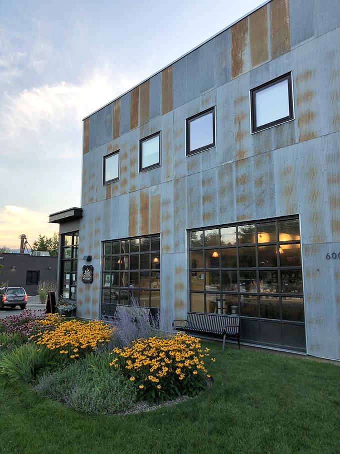 Wild Crumb's industrial exterior hides a bread lover's paradise where sourdough dreams rise to perfection.
