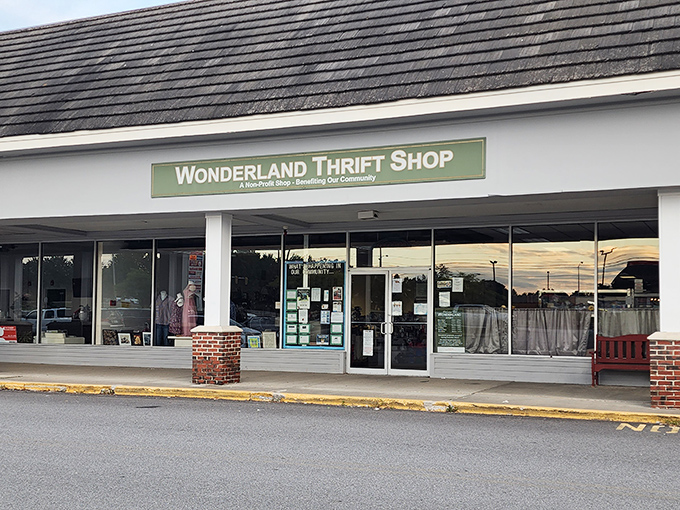 Nestled in a strip mall, this aptly-named Wonderland promises adventures in bargain hunting without the rabbit hole.