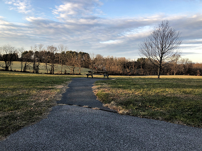 A peaceful path at Auburn Valley leads to a quiet picnic spot surrounded by open fields and gentle afternoon light &mdash; the perfect place to unwind in nature.