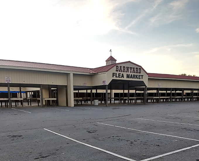 Empty tables waiting for weekend warriors. This peaceful weekday scene transforms into bargain-hunting mayhem come Saturday morning!