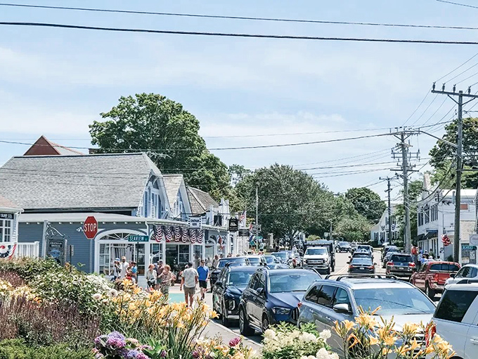 Blue-gray shingled buildings line Chatham's streets, wearing their salt-weathered patina like a badge of honor.